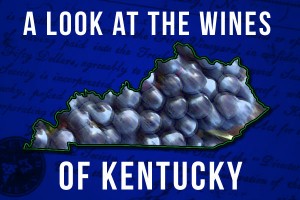 A look at the wines of Kentucky - IWFS Blog