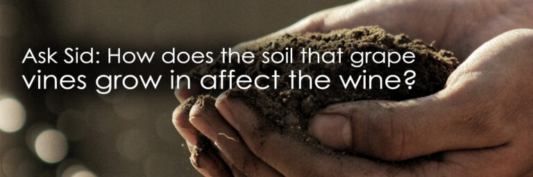 Ask Sid: How does the soil that grape vines grow in affect the wine ...
